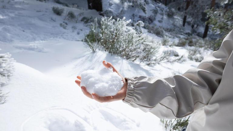 Fresh snow removal hack: No shovel? Try this common household item