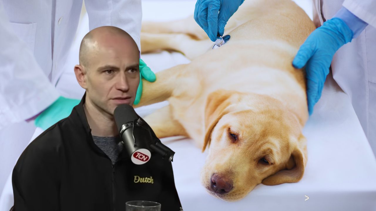 Millions of dogs will die: Insider claims private equity is buying up ...