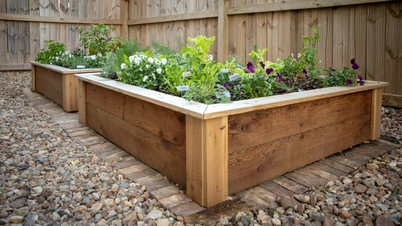 8 reasons why you should build raised beds before summer starts