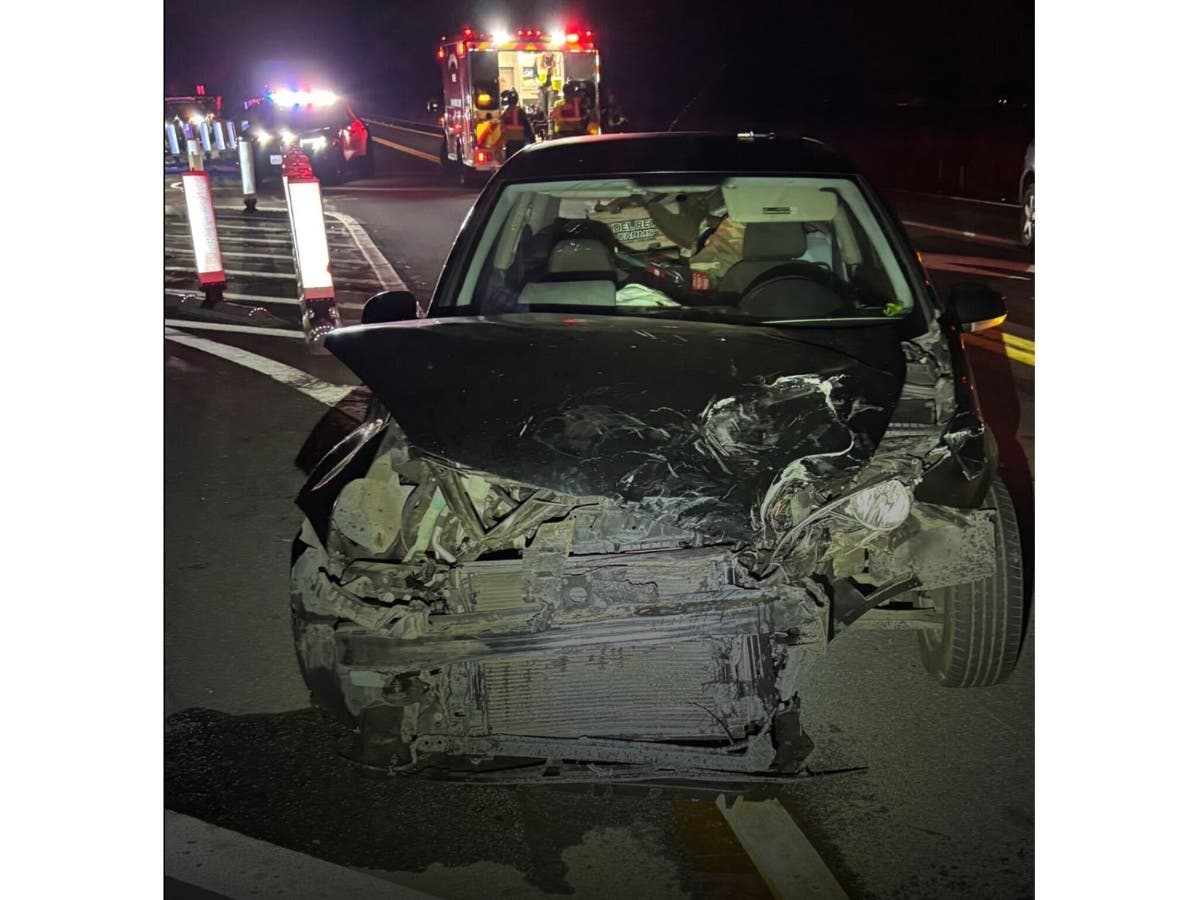 Wrong-way crash injures driver, dog at Lakeville Street intersection