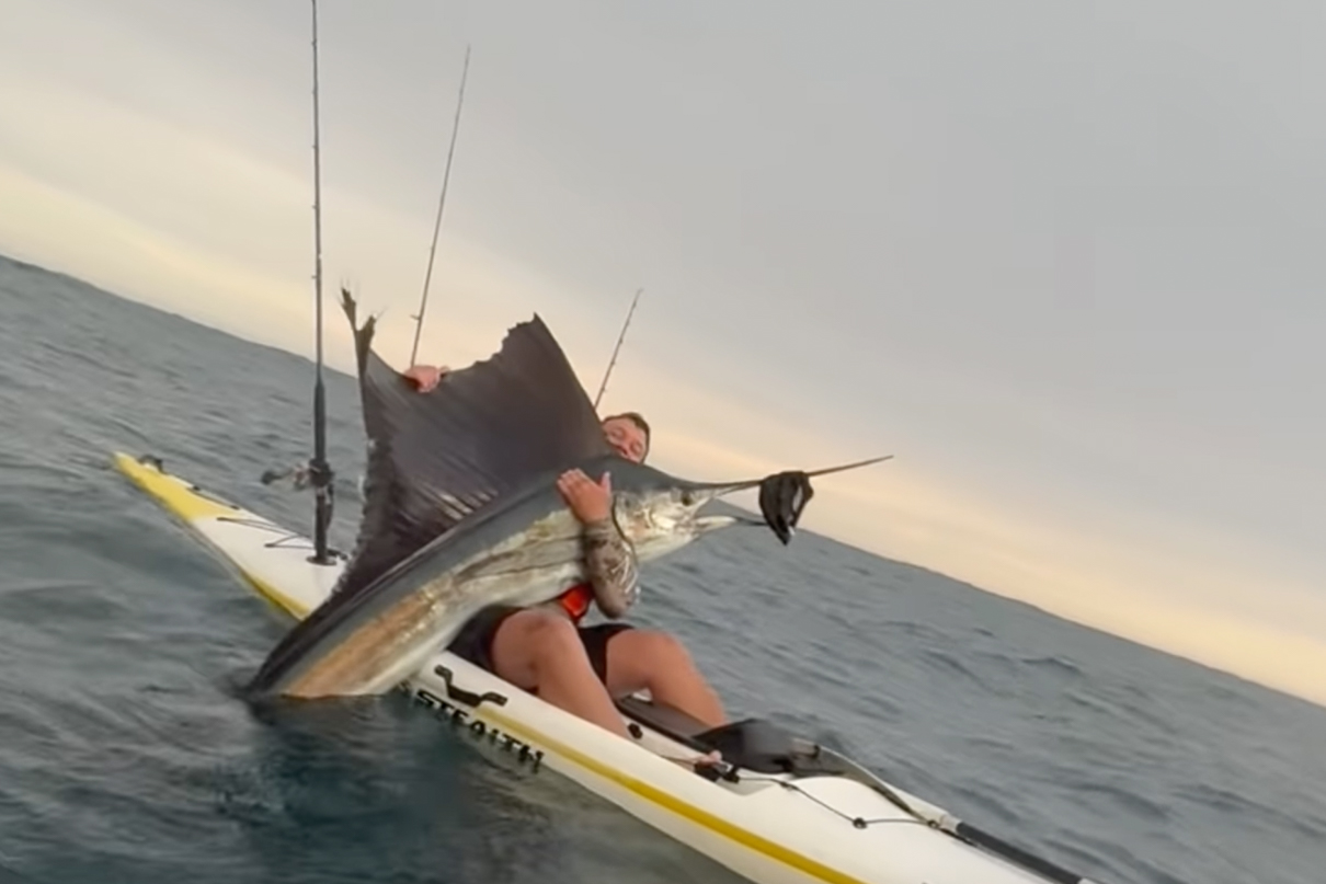 Kayak angler catches monster sailfish (video)