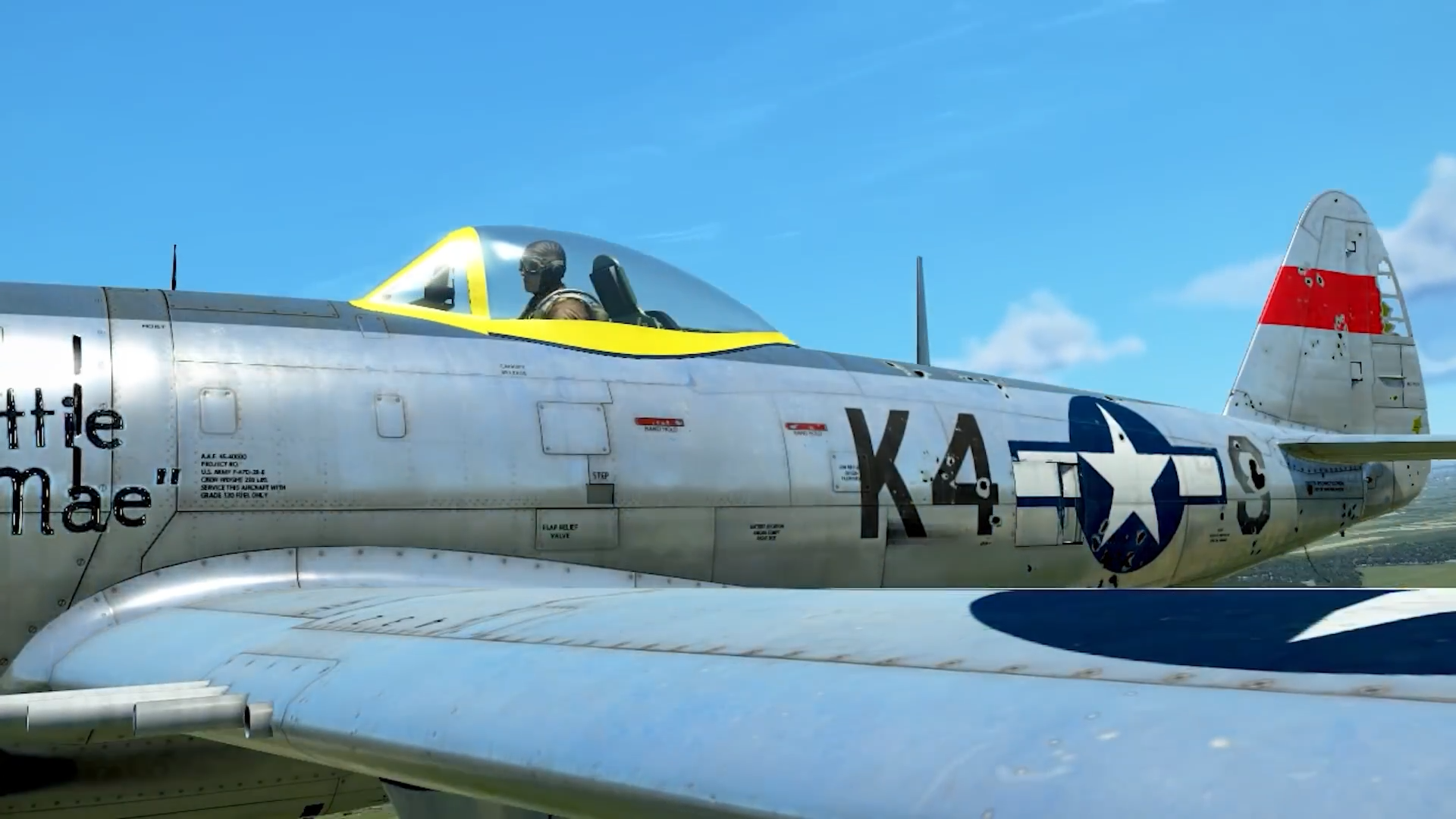 Dottie Mae: The last American aircraft lost in Europe during World War II