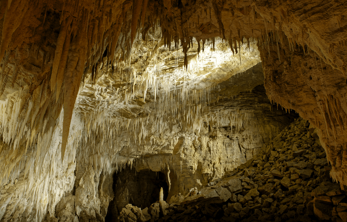 An ancient cave reveals a lost world of life from 1 million years ago