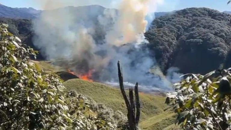 Dzukou Valley wildfire races towards Manipur’s highest peak, NDRF deployed