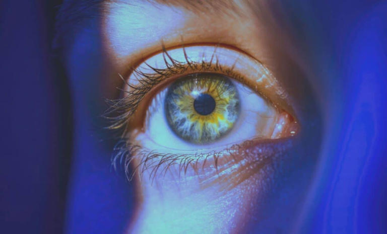 Scientists just discovered a 443-million-year-old fossil with eyes ...