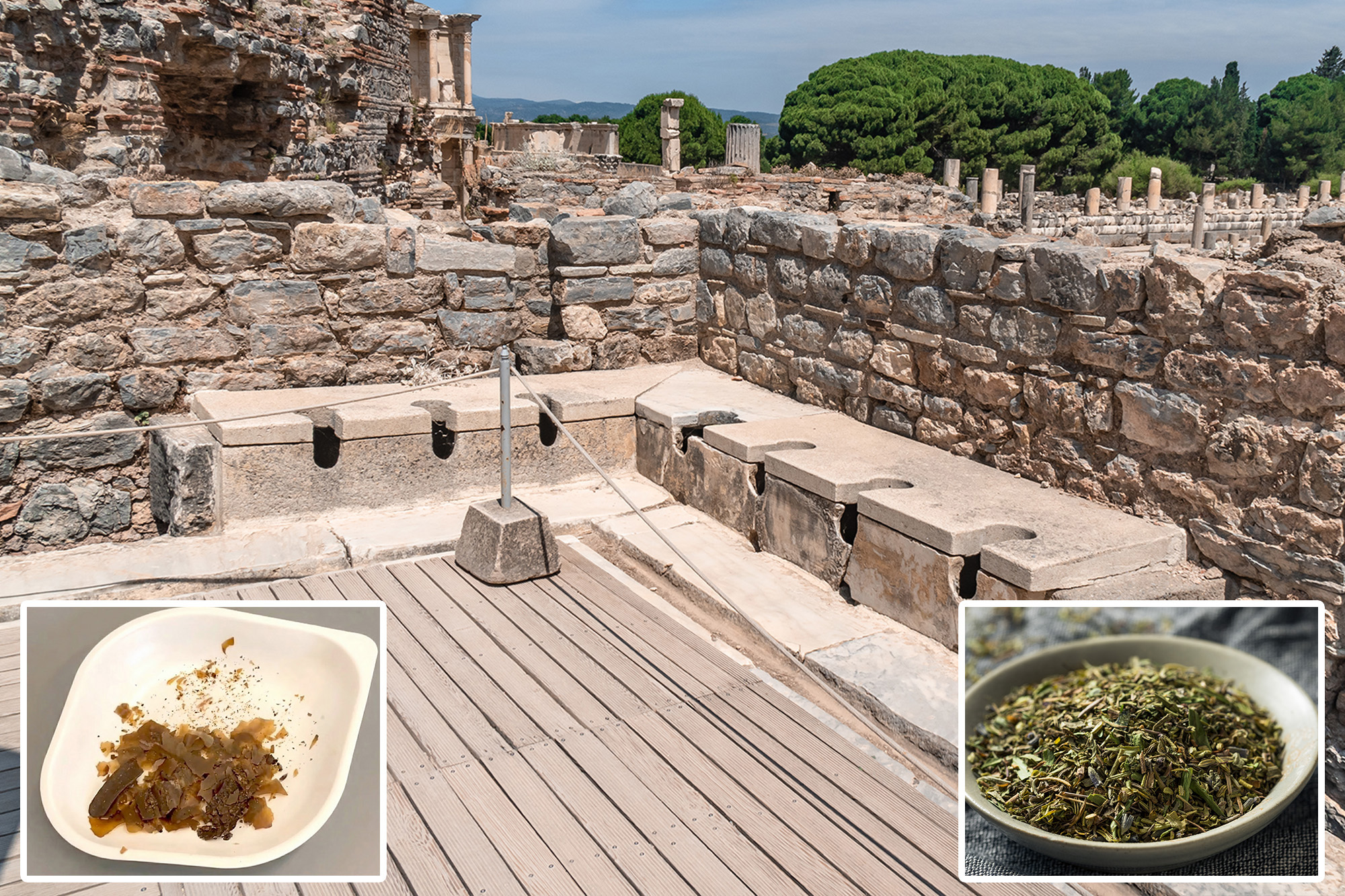Romans used poop to treat infections and inflammation, new study ...