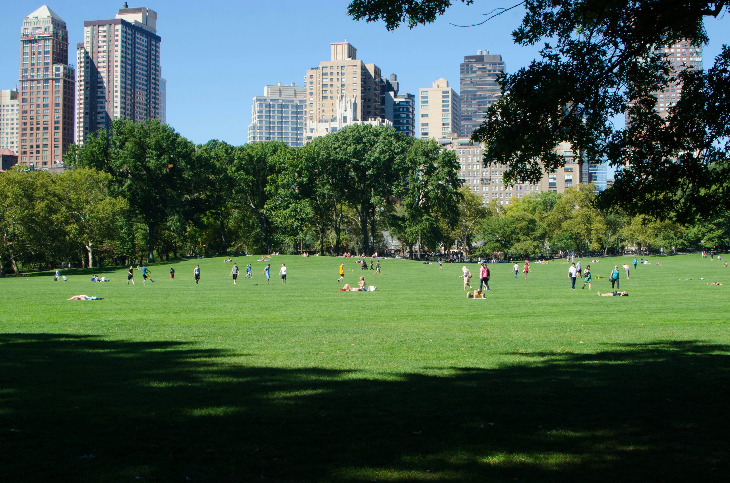 Hidden gems in Central Park you usually miss