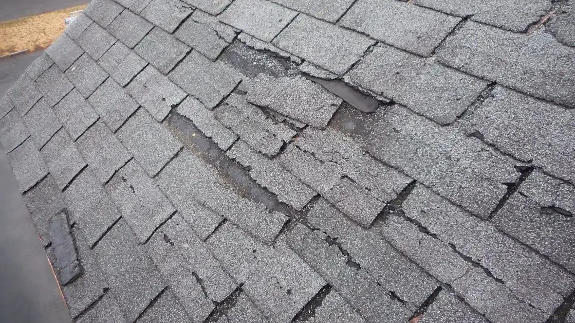 The 4-year roof mistake: Why "lifetime" shingles often fail early