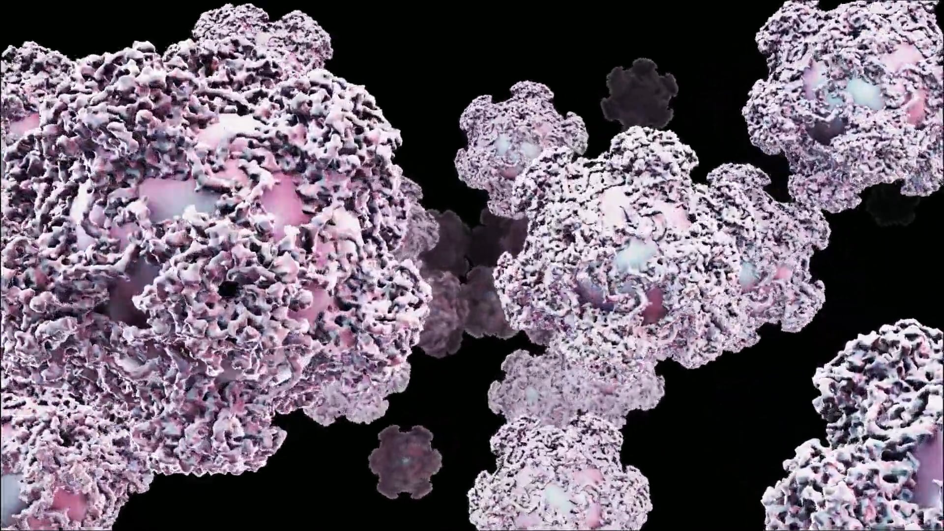 NIH discovers beta HPV can directly cause skin cancer in ...