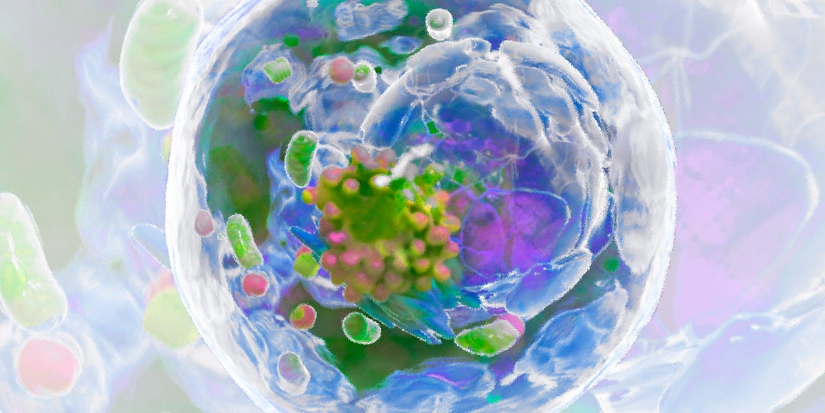 A secret time capsule inside human cells can record the past ...