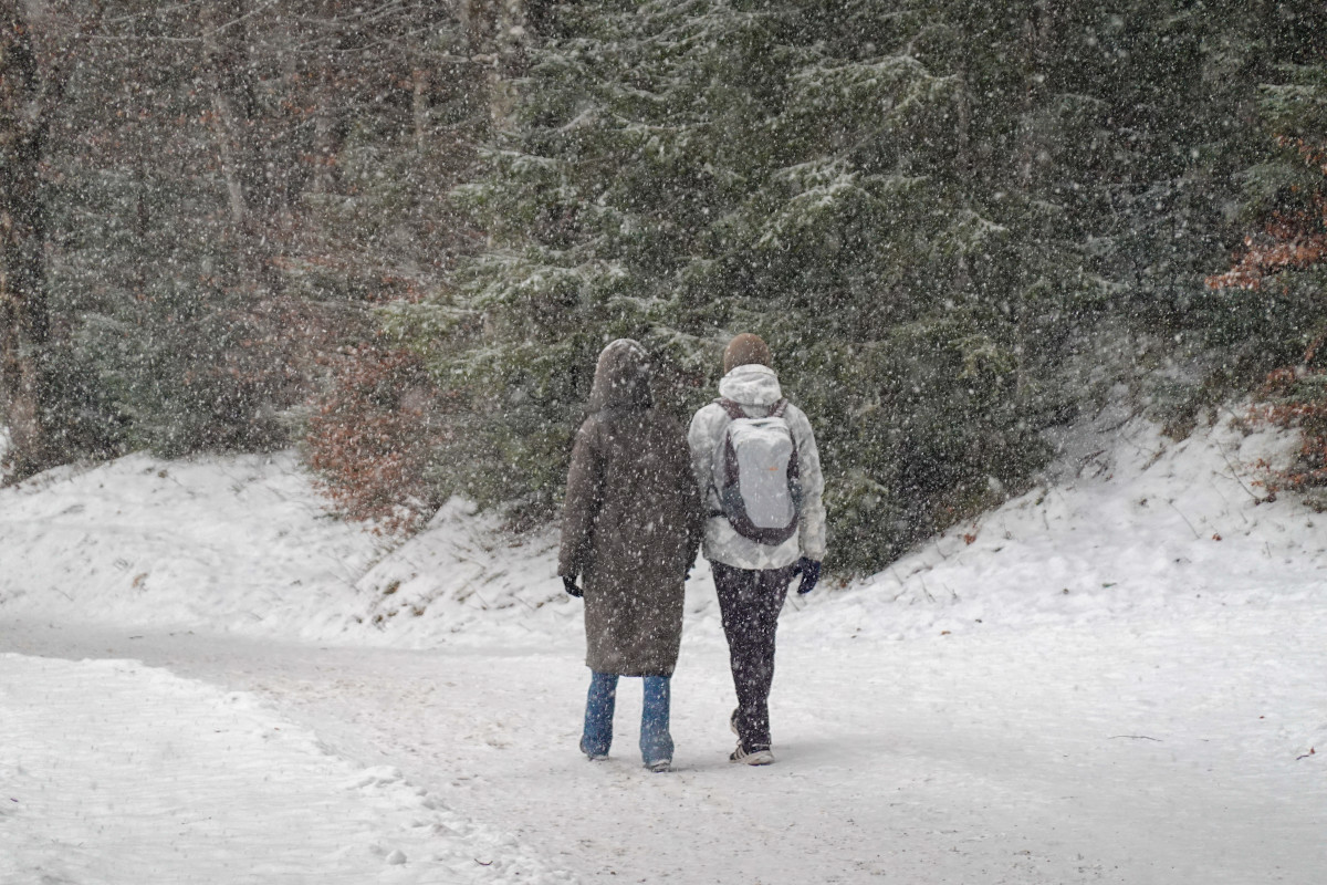 Woman and her dog survive frozen lake fall thanks to a tree branch
