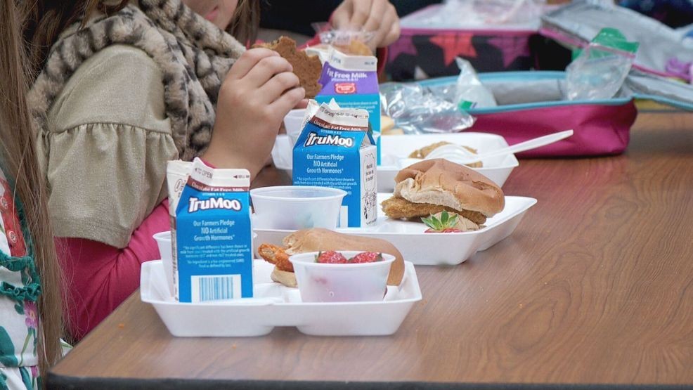 Iowa seeks sponsors for summer meal program to aid low-income children ...