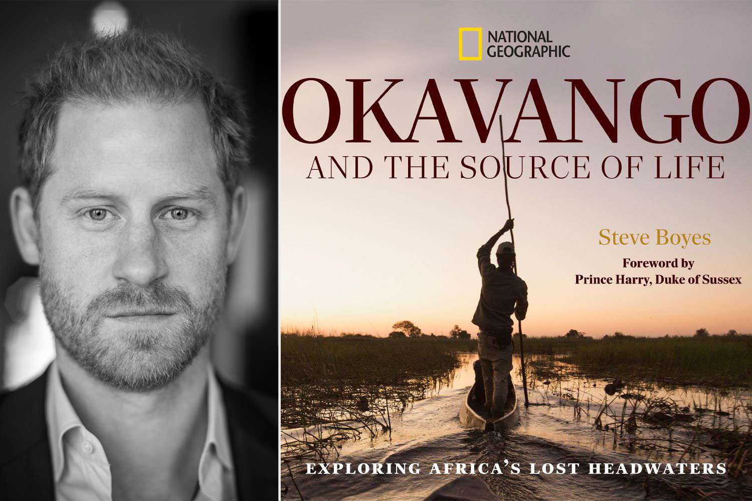 Prince Harry pens foreword to new National Geographic book “Okavango ...