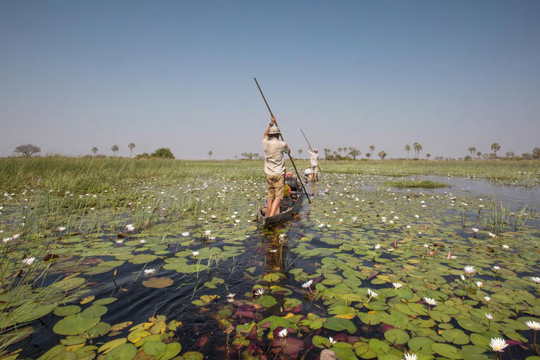 Prince Harry pens foreword to new National Geographic book “Okavango ...