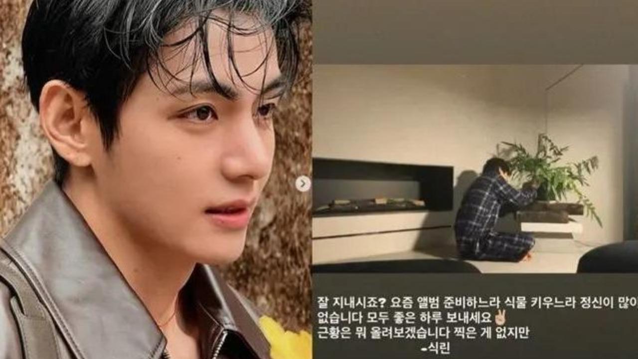 BTS’ V shares quiet moments as a plant parent before group comeback
