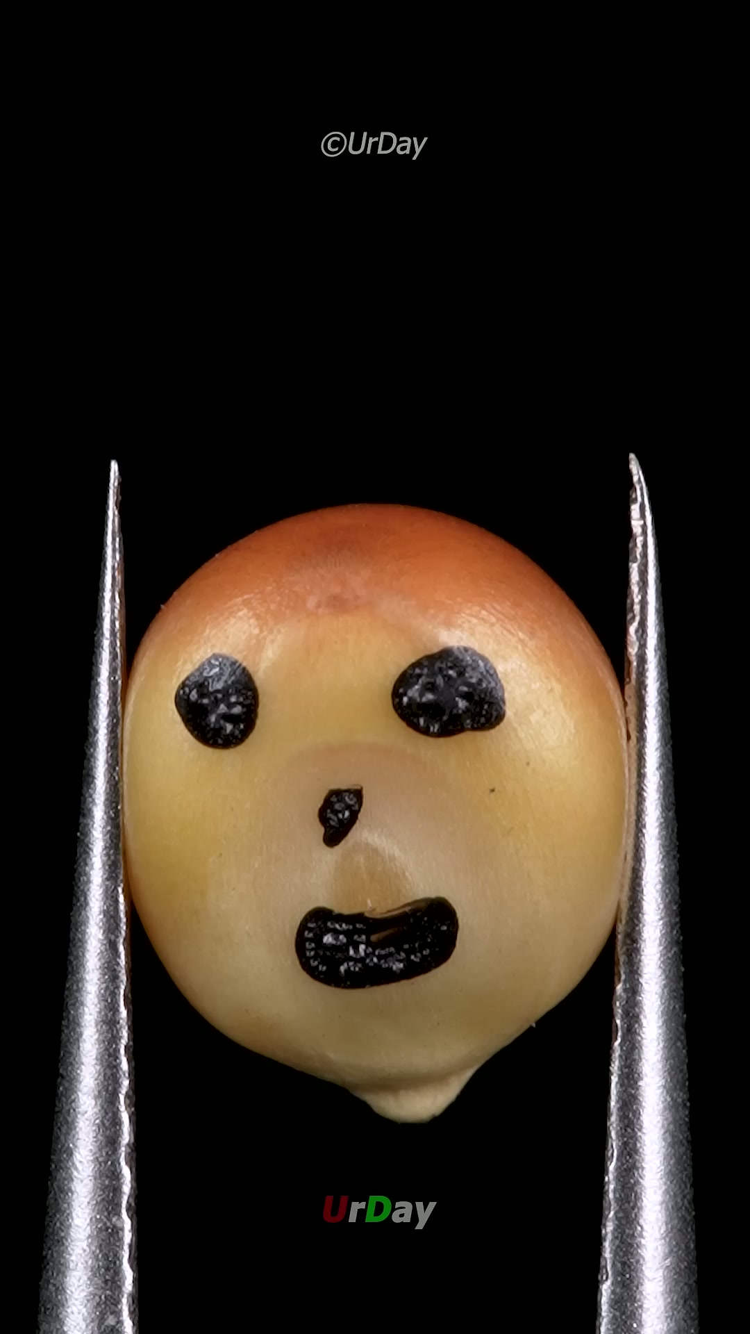 Popcorn! #satisfying #closeup #urday #macro