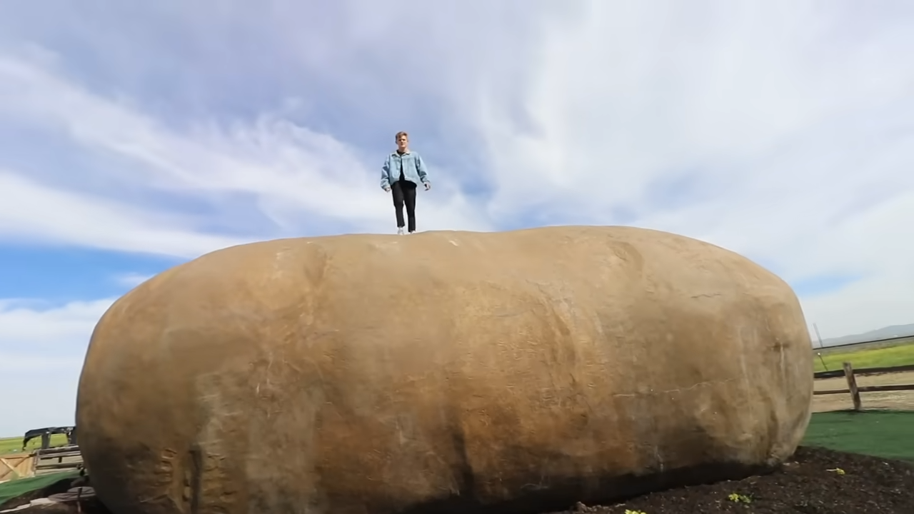 The strange reality of sleeping in a massive potato