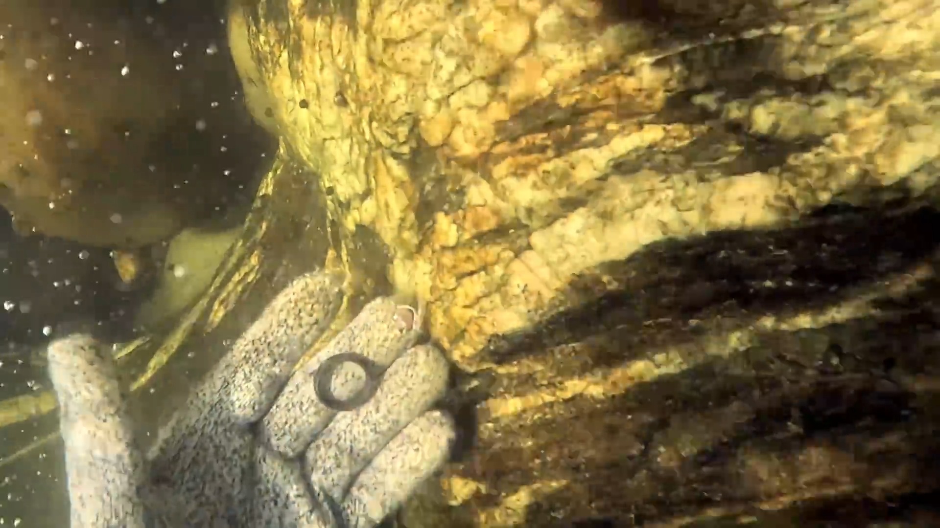 How gold and silver slipped through the system and stayed there