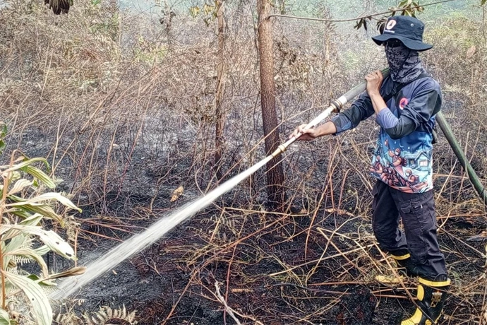 Karhutla dominasi bencana di Kalteng, 456 hektare lahan terbakar hingga ...