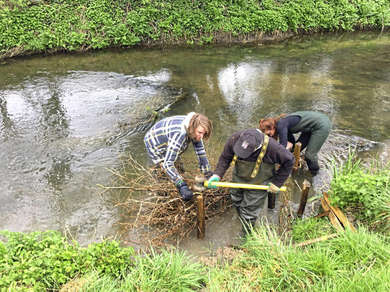 How your rod licence money was spent