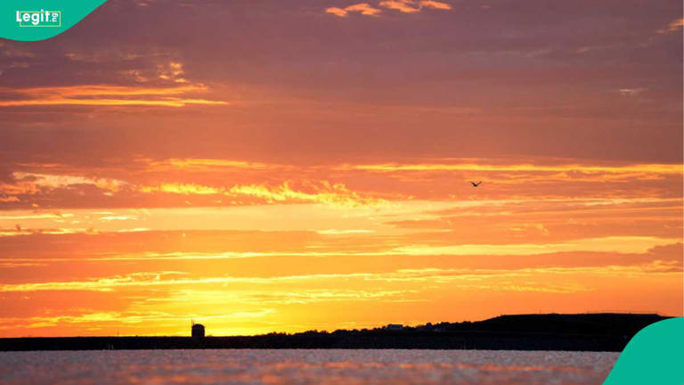 Half of world’s population projected to live under extreme heat if ...