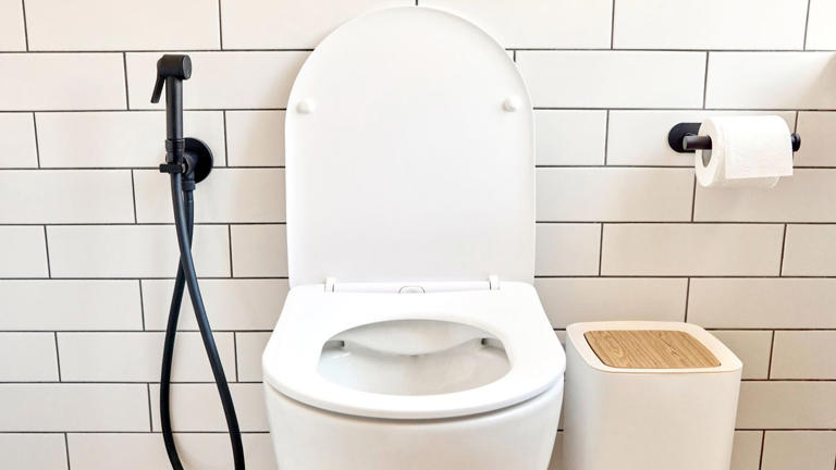 How to fit a toilet seat to upgrade this bathroom essential