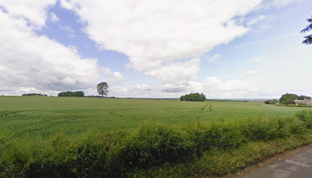 Discover 13 places and events in and near Bristol where you can spot ...