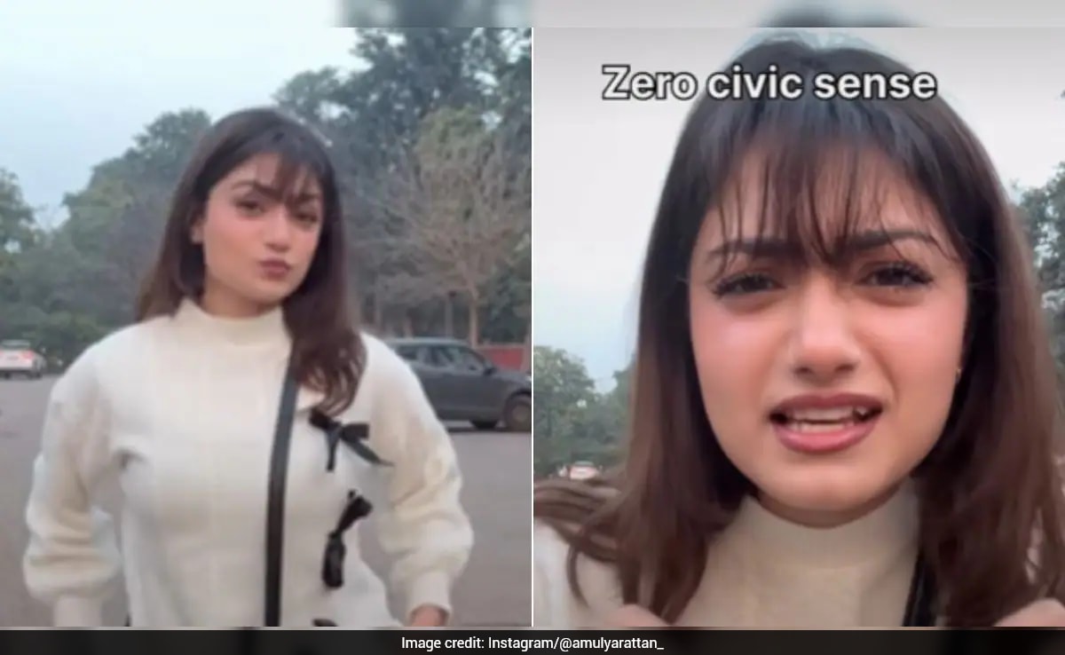 'Zero civic sense' influencer Amulya Rattan posts video mocking herself ...