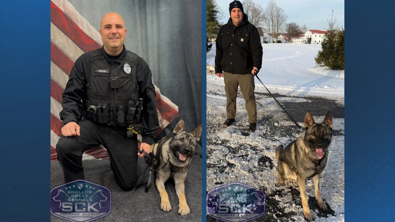 Stoughton police welcome new K-9 to the force