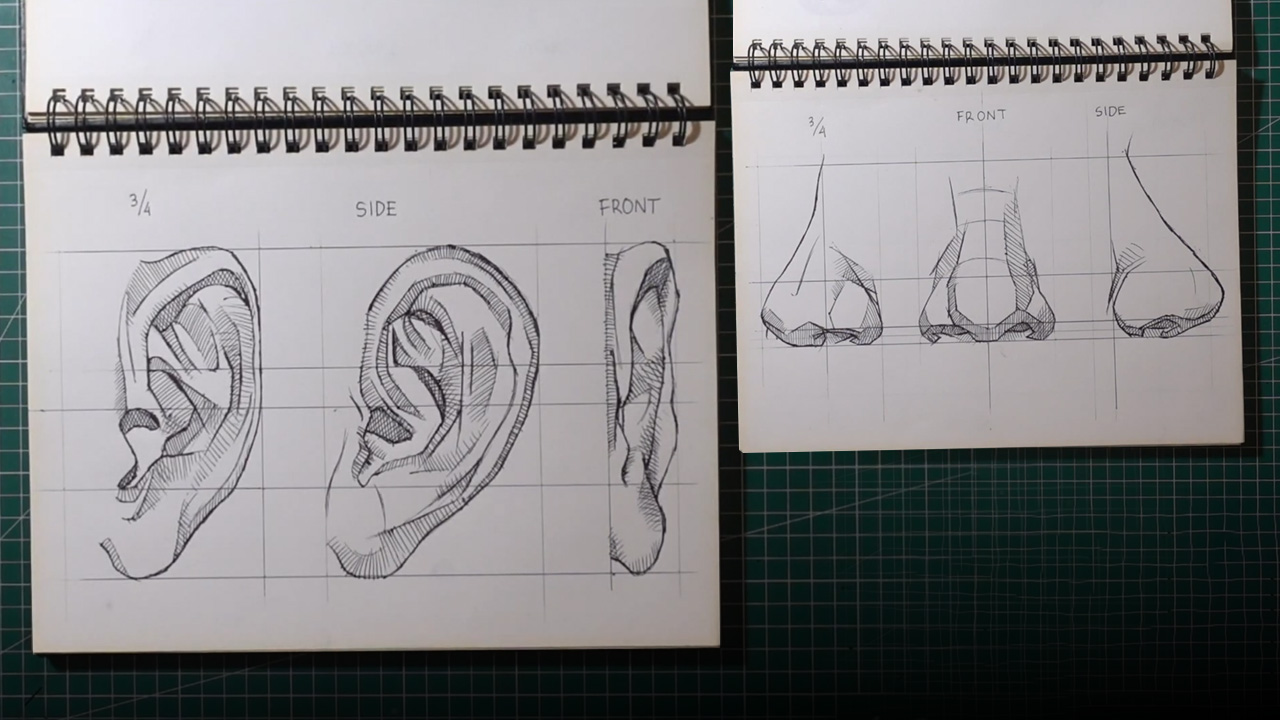 Draw ear and nose in multiple angles with simple proportion tricks