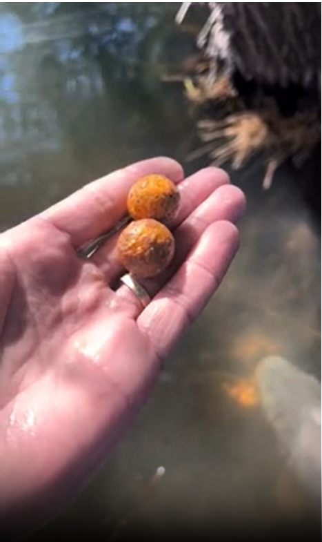 Crafting the ultimate lure for big fish – expert bait techniques