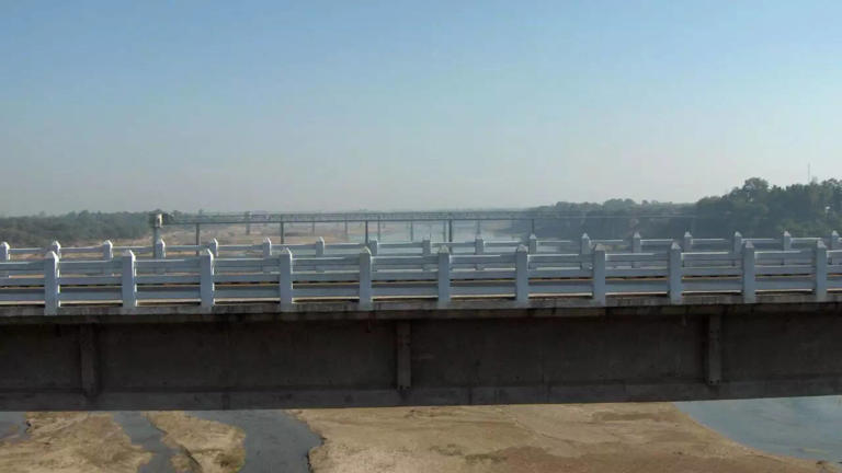 Inside India’s crocodile river in Gujarat where reptiles live beside ...