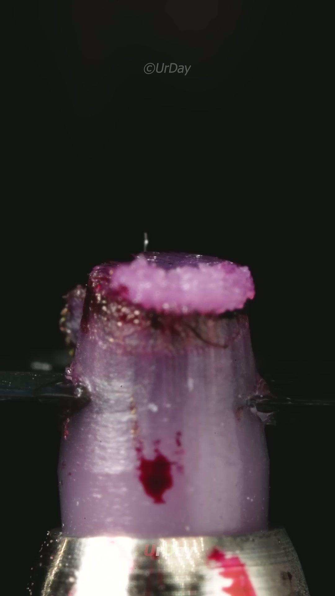 Sign pen cutting close up #macro #urday #experiment #closeup