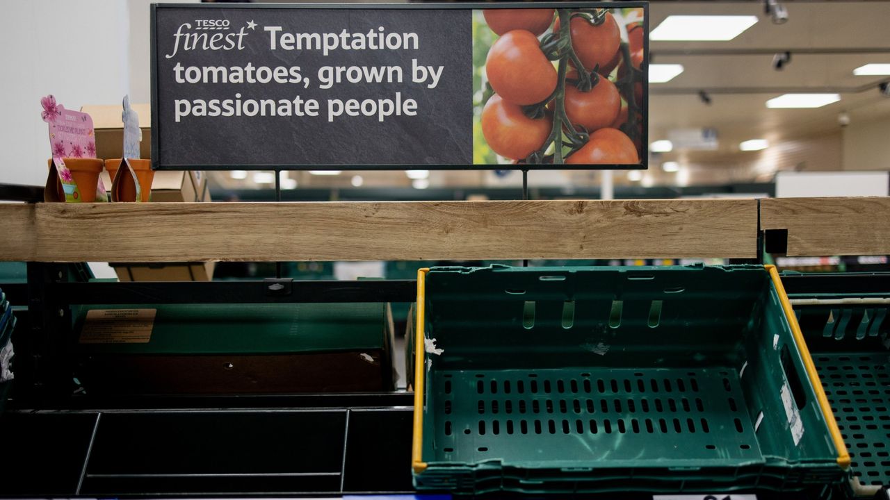 How prepared is the UK for food shortages?