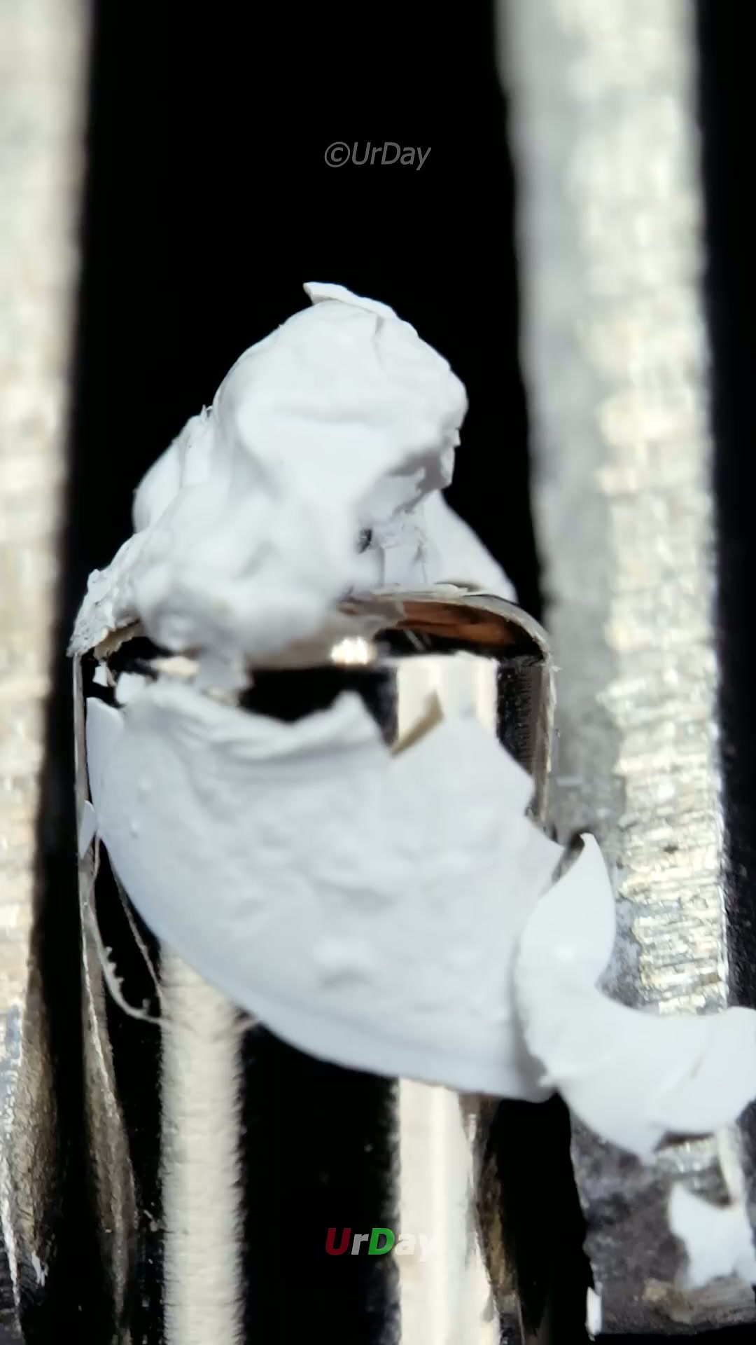 Correction pen #urday #macro #closeup