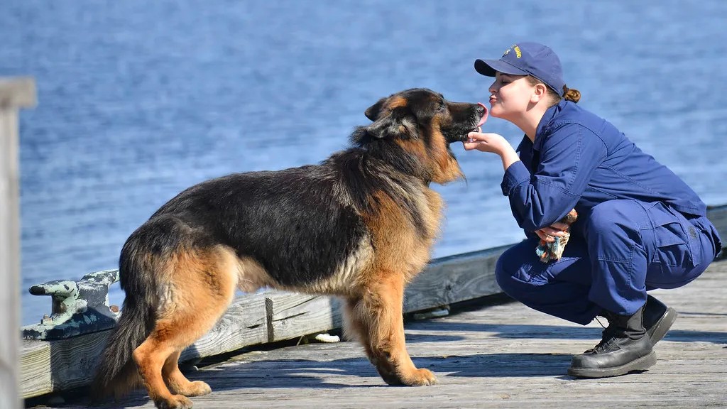 6 things you should never feed your dog (but many owners still do)