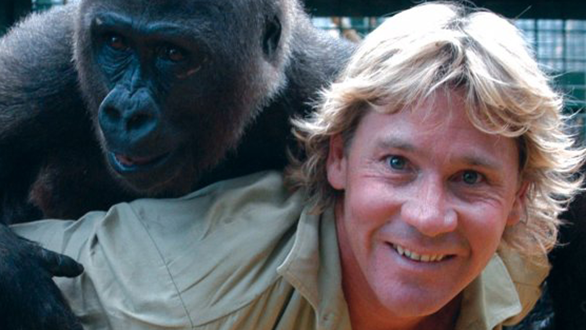 Fascinating facts about Steve Irwin
