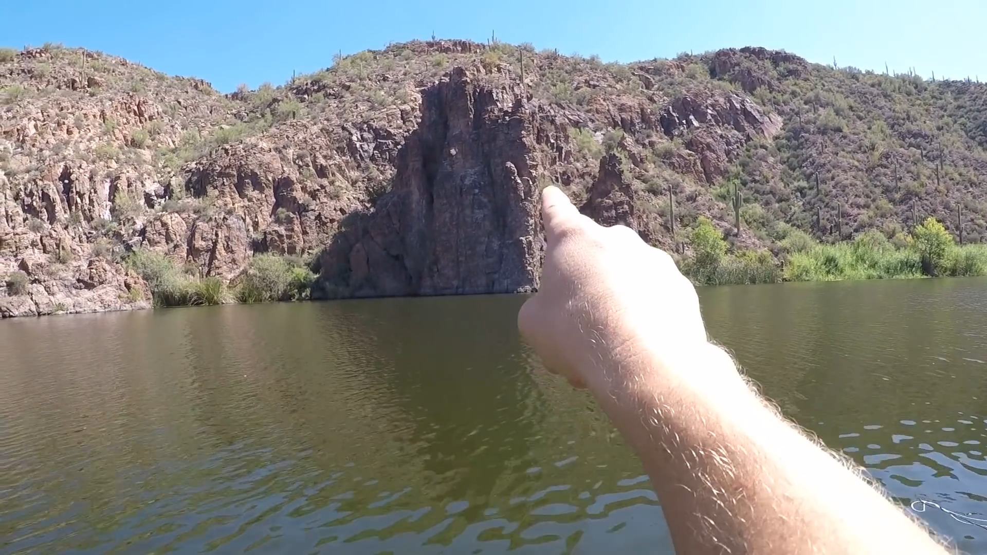 This dive turned creepy fast and the shore felt very far away