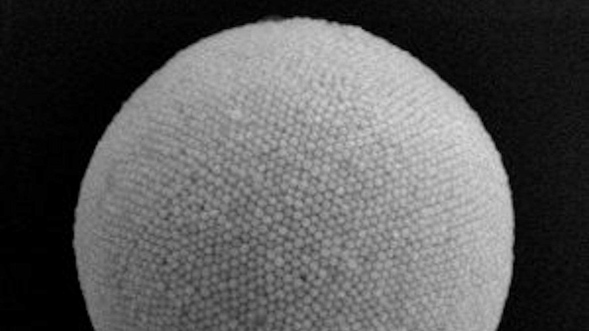 Gold nanoparticles boost solar cell efficiency by capturing full ...