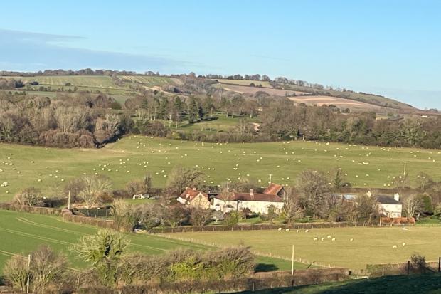 Plans to expand golf course in Hampshire national park sparks row