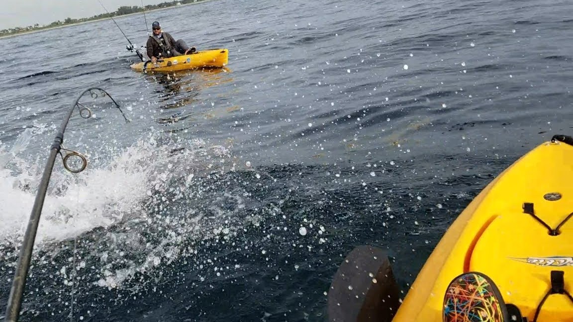 Offshore kayak fishing got dangerous fast with sharks nearby