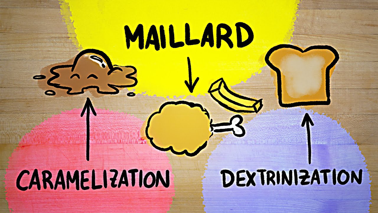 Unlocking golden brown delicious: The science of the Maillard reaction