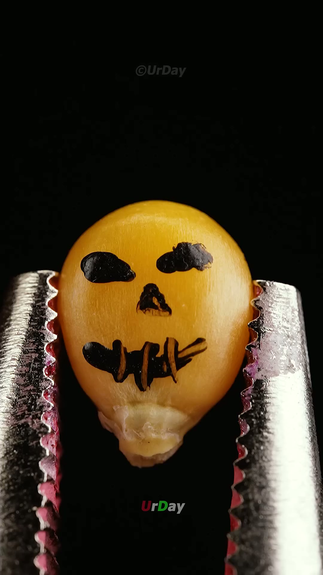 Popcorn slow motion close up #urday #satisfying #macro