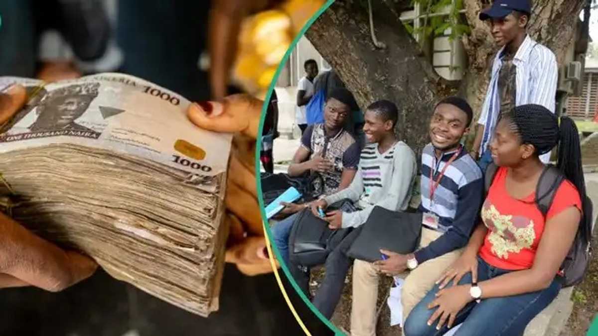 Fresh update as NELFUND extends 2025/2026 student loan application ...