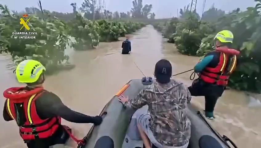 Cats and dogs rescued after floods in southern Spain
