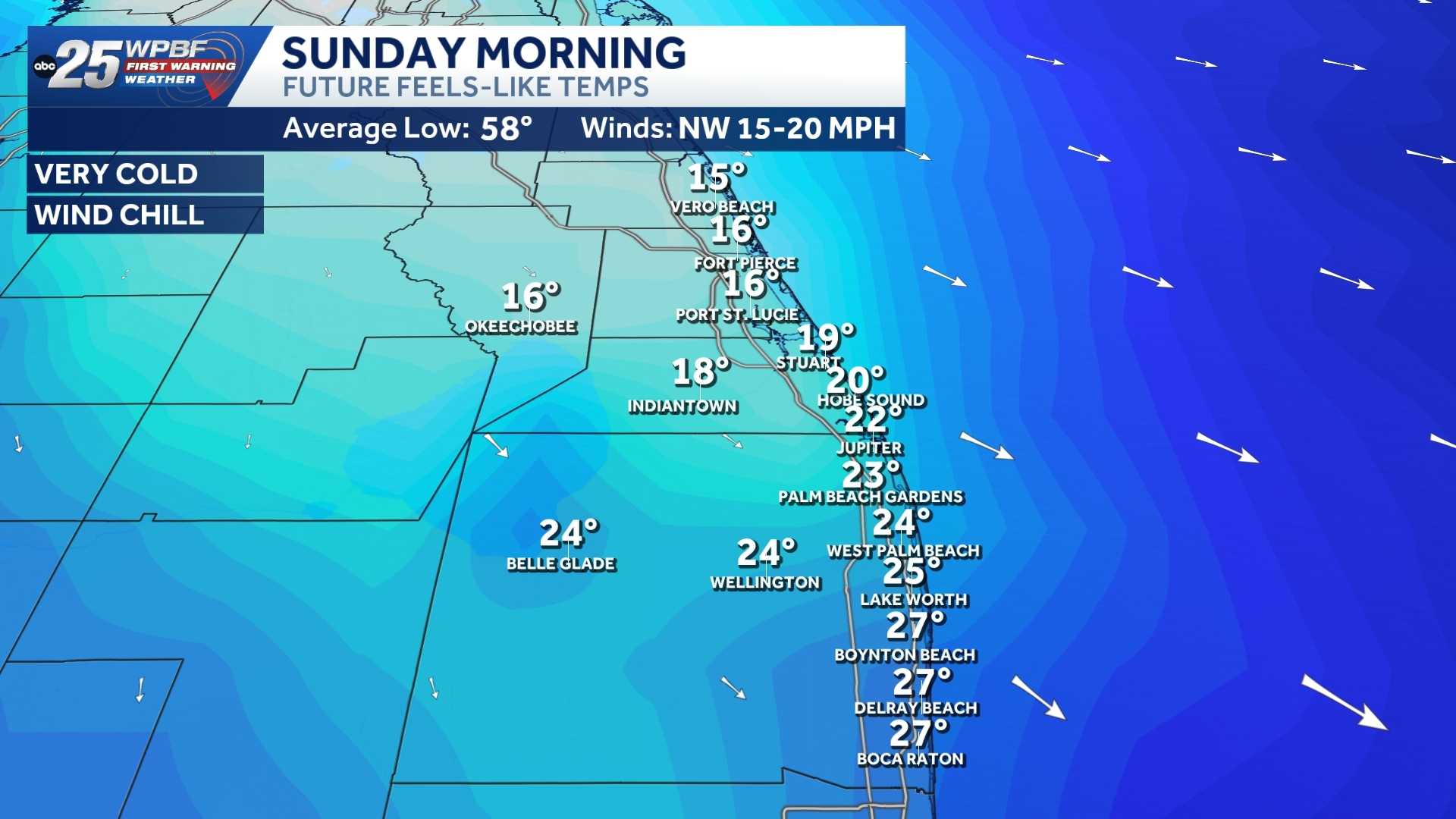 Freeze alerts hit as South Florida faces its coldest air in years