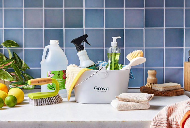 How to get rid of gnats in your home (for good)