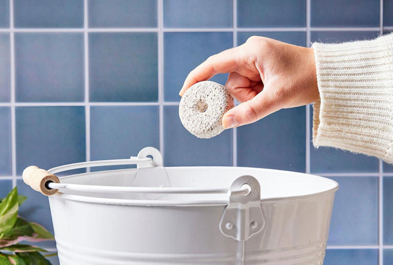 How to get rid of gnats in your home (for good)