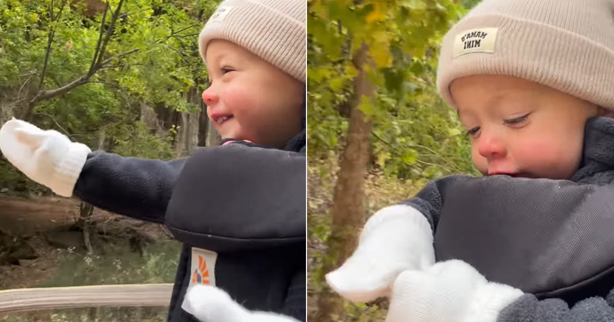 Video: Baby girl makes hiking all about getting 'well-earned high fives'
