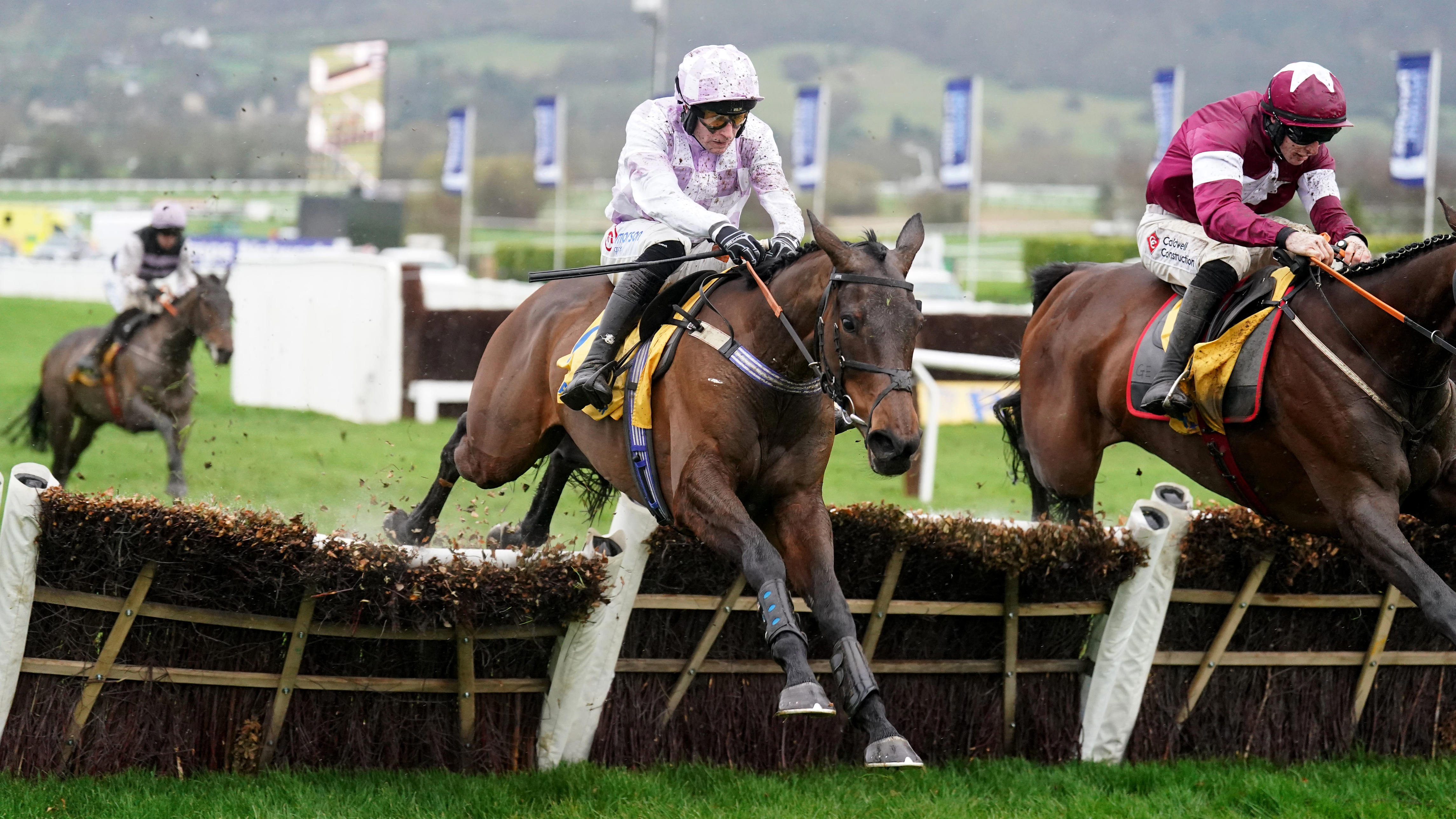 Wincanton still in the running for Golden Ace